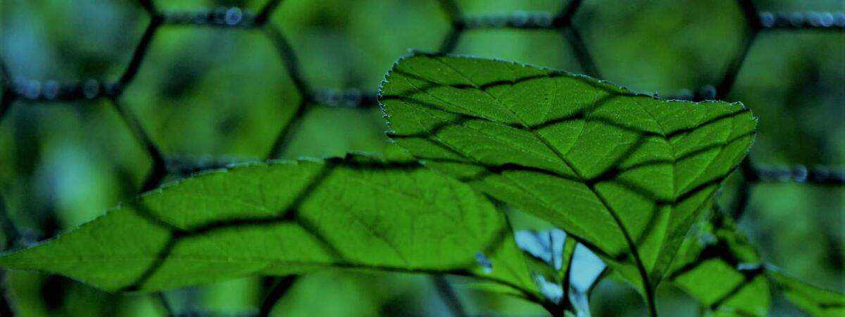 TNC Web Mapping Applications