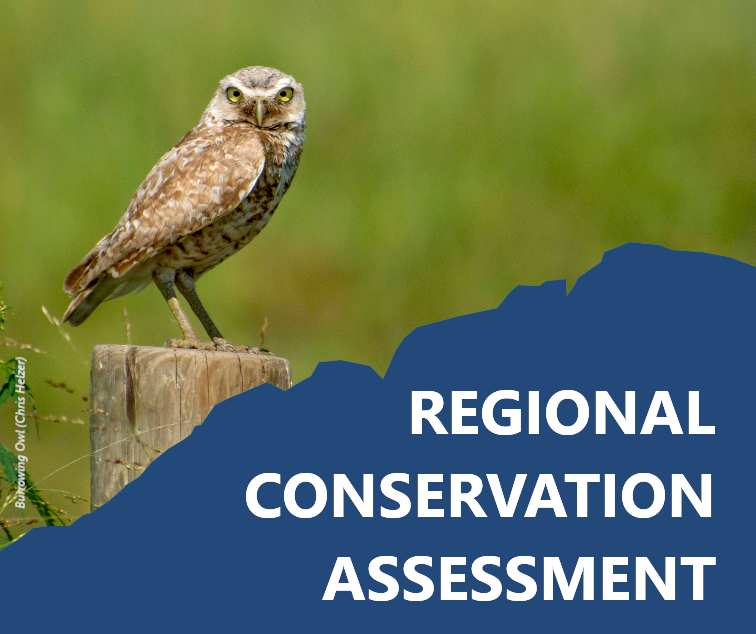 Metro DNA | Regional Conservation Assessment